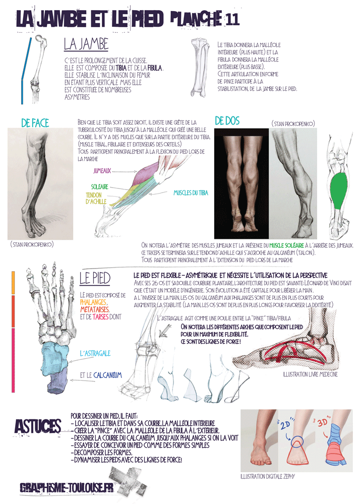 Anatomie & techniques - Axelle Picard